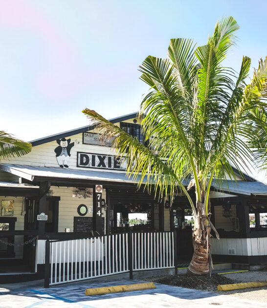 southern seafood favorite florida ftr