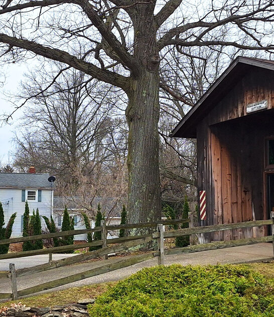 spaghetti ohio covered bridge ftr