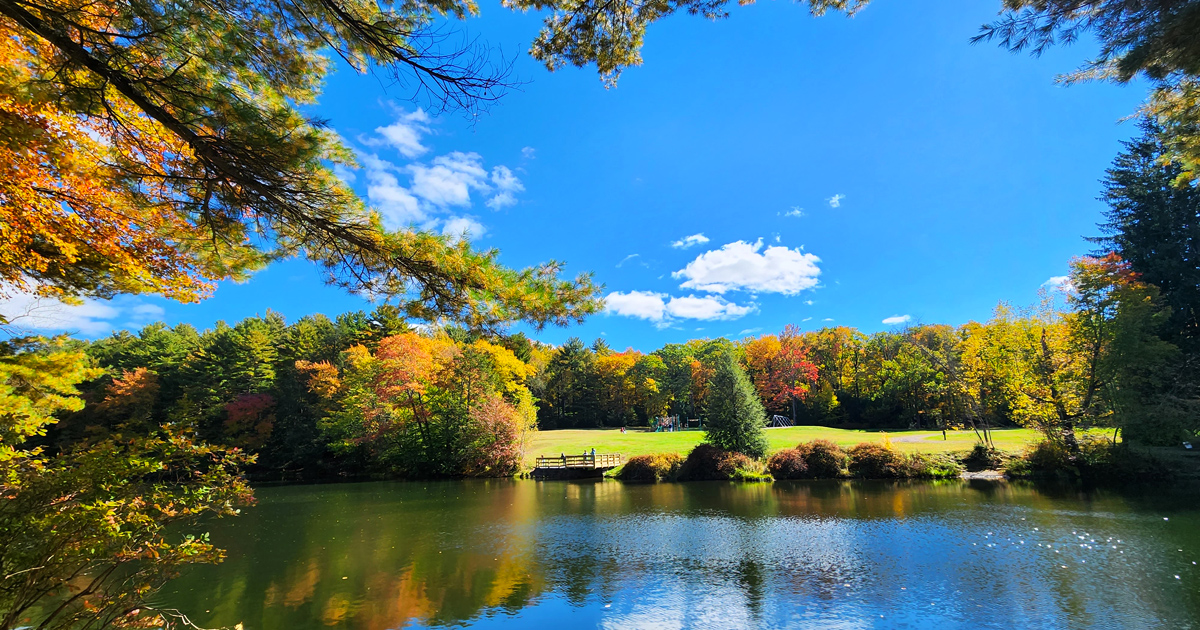 The Picturesque State Park In Pennsylvania That's Straight Out Of A ...