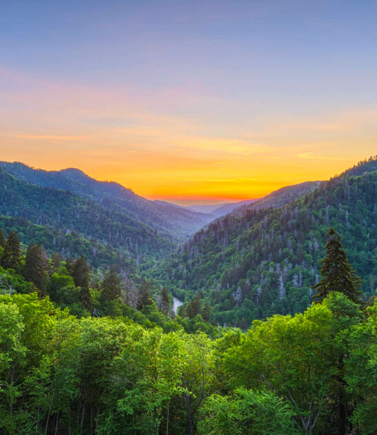 state park tennessee fairytale ftr