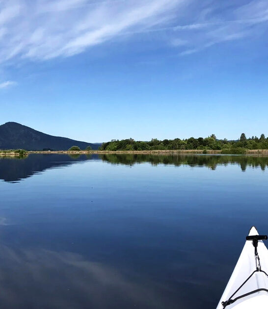 state parks feel california ftr