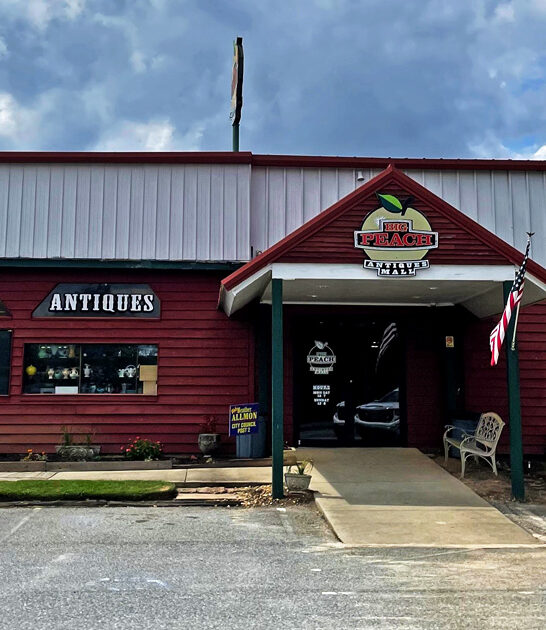 store georgia rare treasures ftr