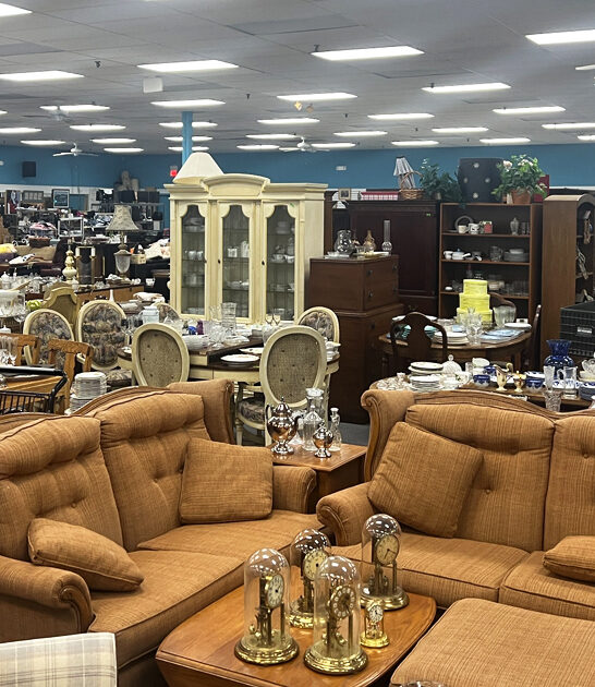 store illinois massive thrift ftr