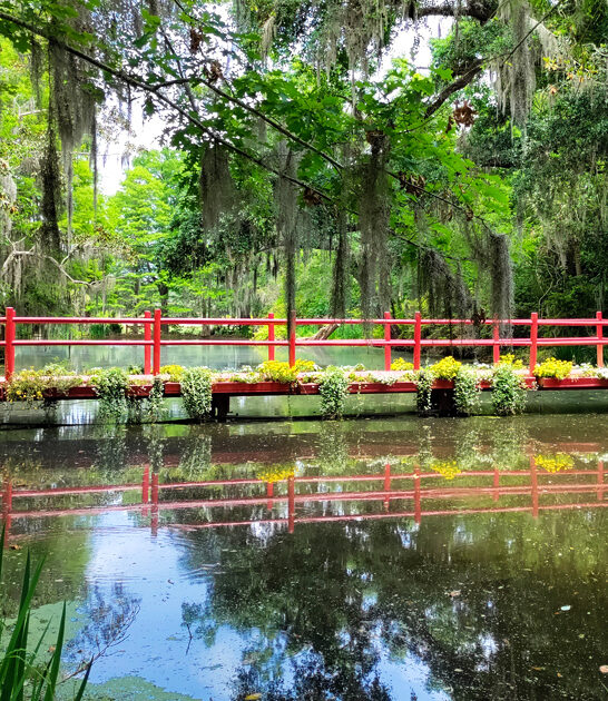 stunning garden south carolina ftr
