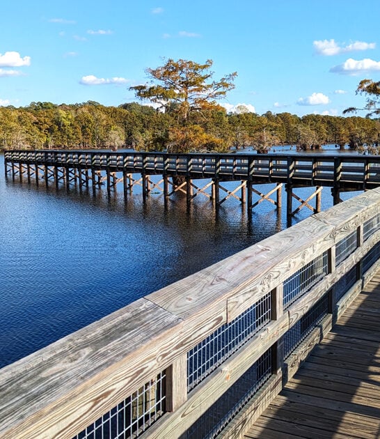 stunning state park louisiana ftr