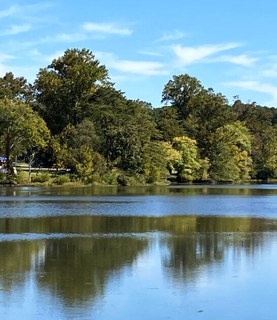 stunning state tennessee parks ftr