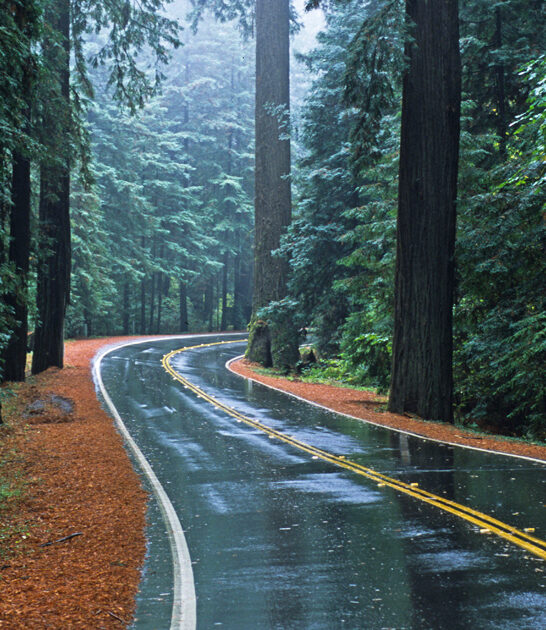 surreal california drive escape ftr