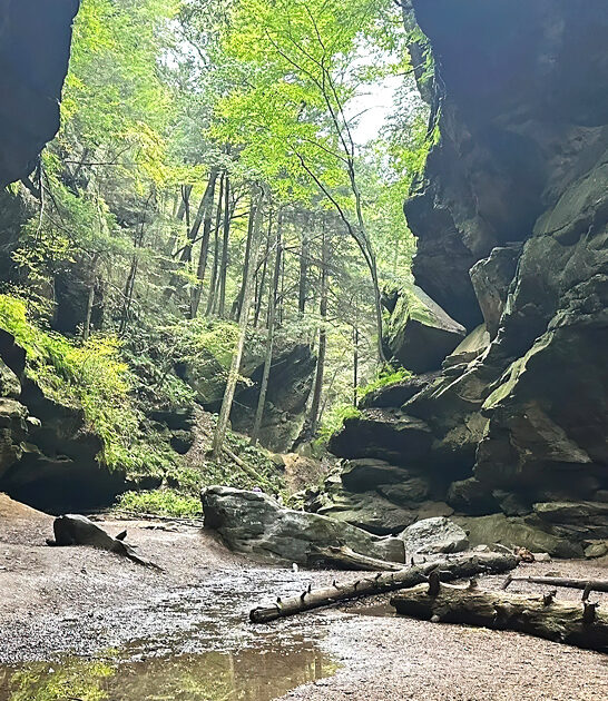 surreal trail ohio ftr