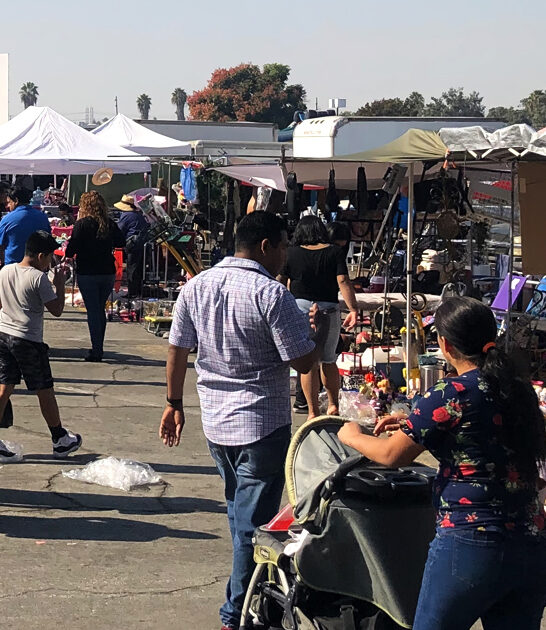 swap meet california treasures ftr