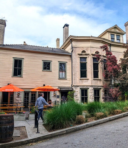 sweet potato fries georgia ftr