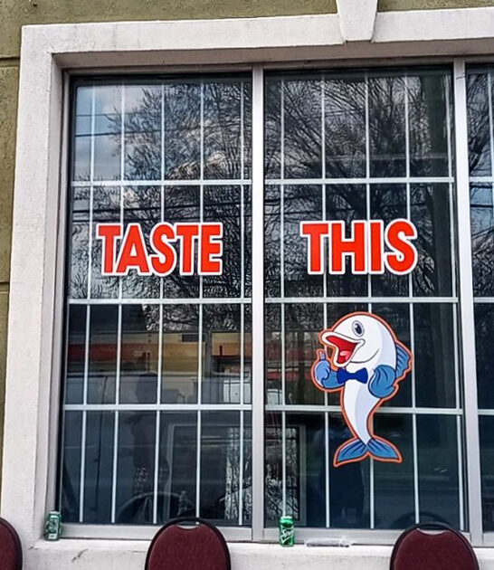 tasty best shrimp indiana ftr