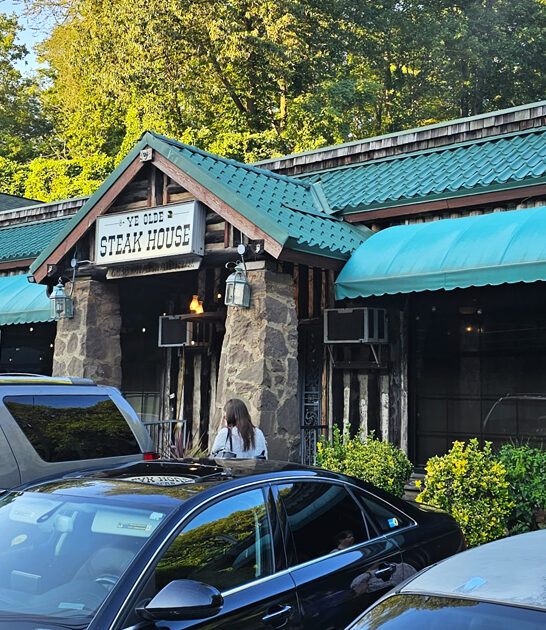 tasty mozarella sticks tennessee ftr