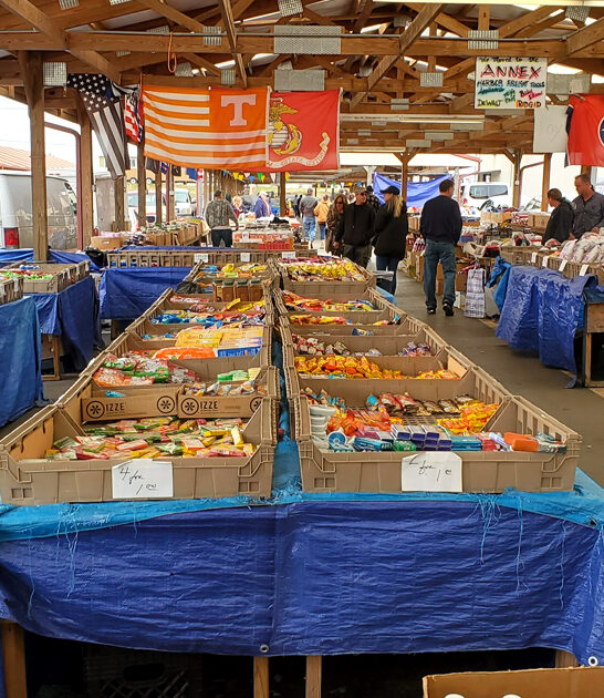 tennessee enormous flea bargains ftr