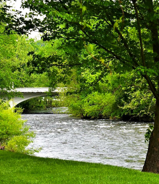 tennessee gorgeous park escape ftr