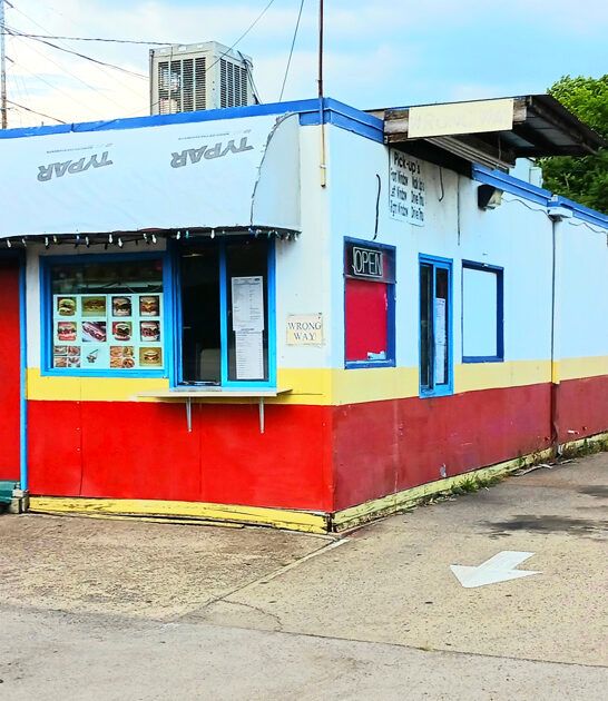 tennessee mouthwatering french fries ftr