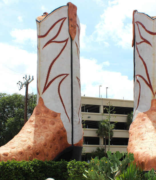 texas bizarre cowboy boots ftr