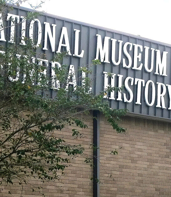 texas bizarre museum exhibit ftr