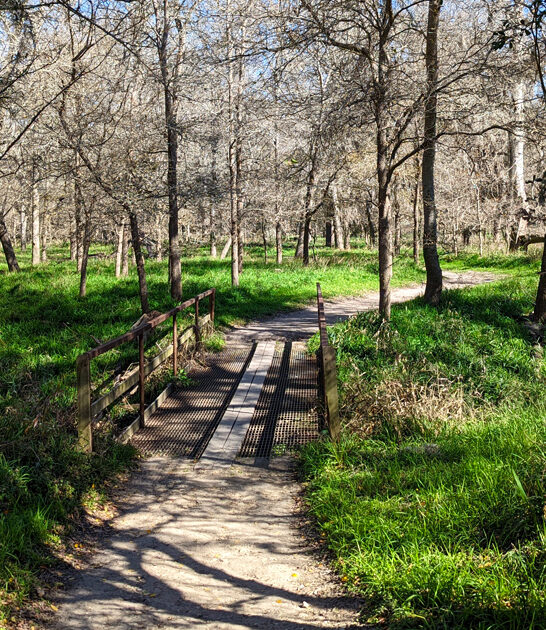 texas hidden park retreat ftr