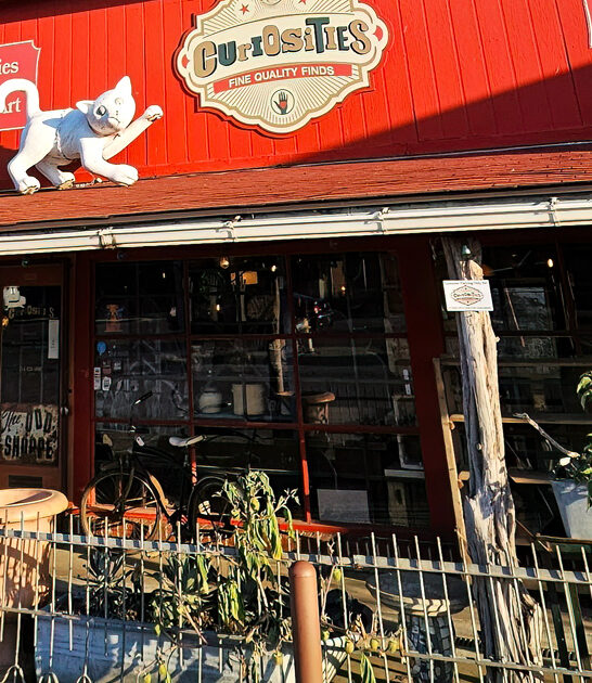 texas hidden vintage wonderland ftr