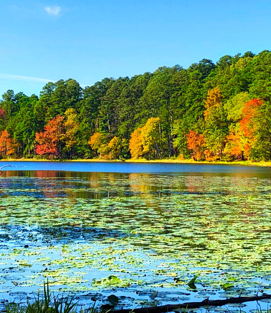 texas picturesque state park ftr