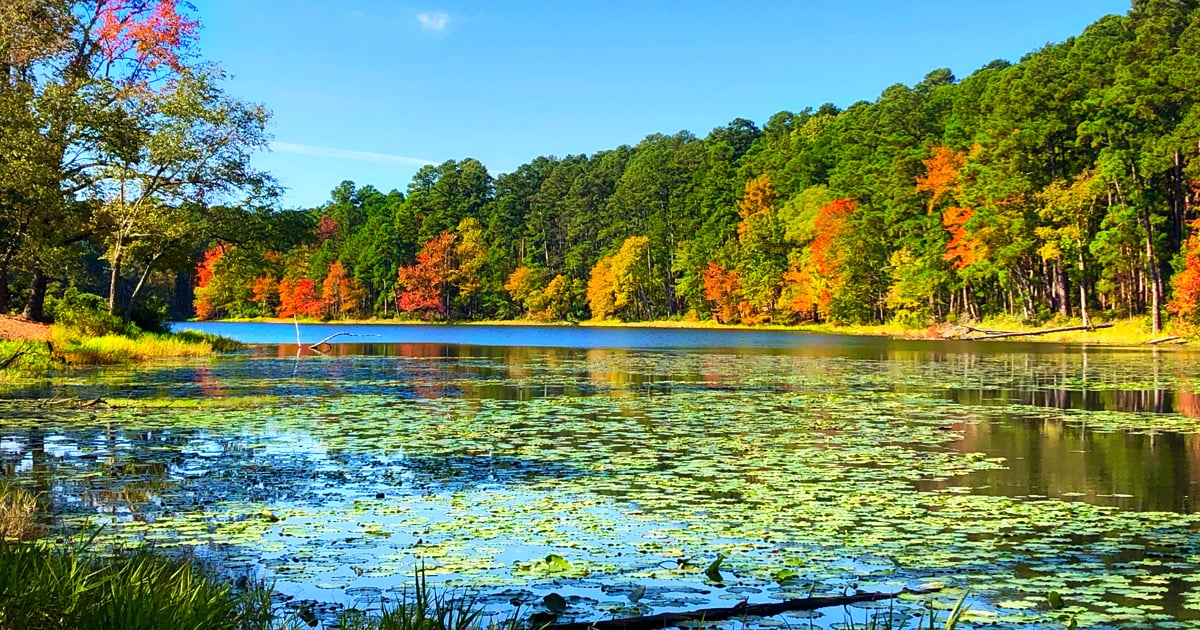This Picturesque State Park In Texas Will Make You Feel Miles Away From ...