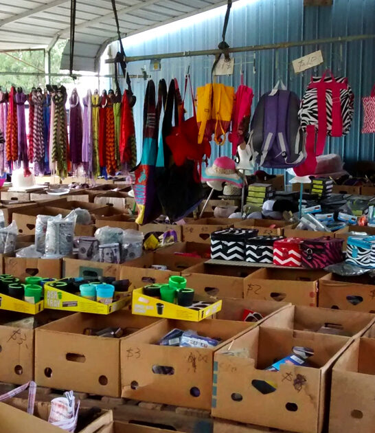 thrift enormous store georgia ftr