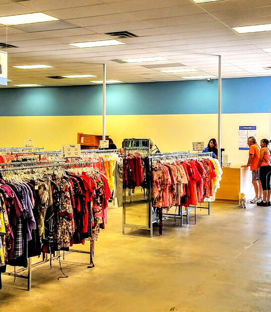 thrift gigantic new mexico ftr