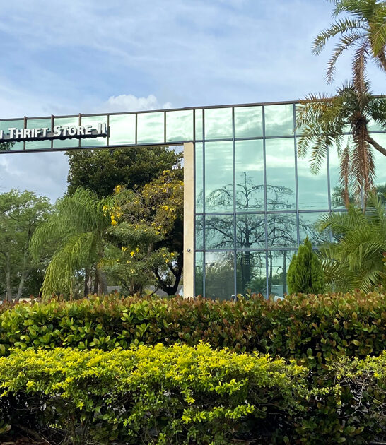 thrift store enormous florida ftr