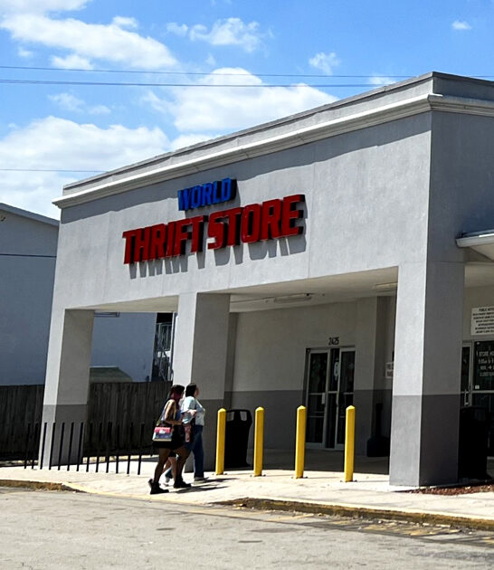 thrift store florida collectibles ftr