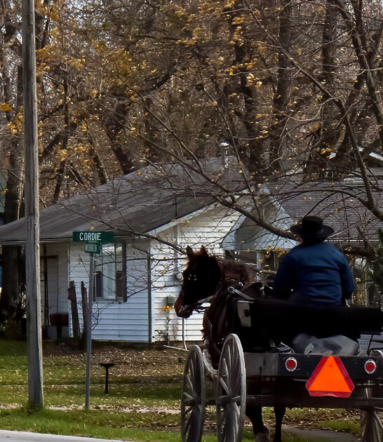 tiny amish missouri know ftr
