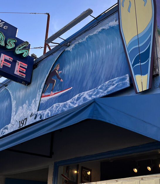 tiny burger california fish ftr