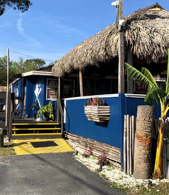 tiny florida onion rings ftr