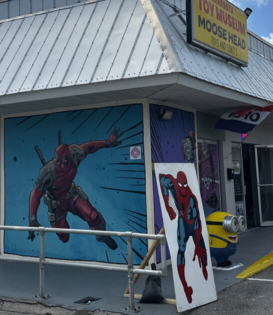 tiny toy museum florida ftr