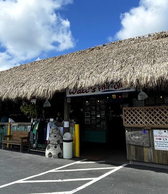 top florida fried clams ftr