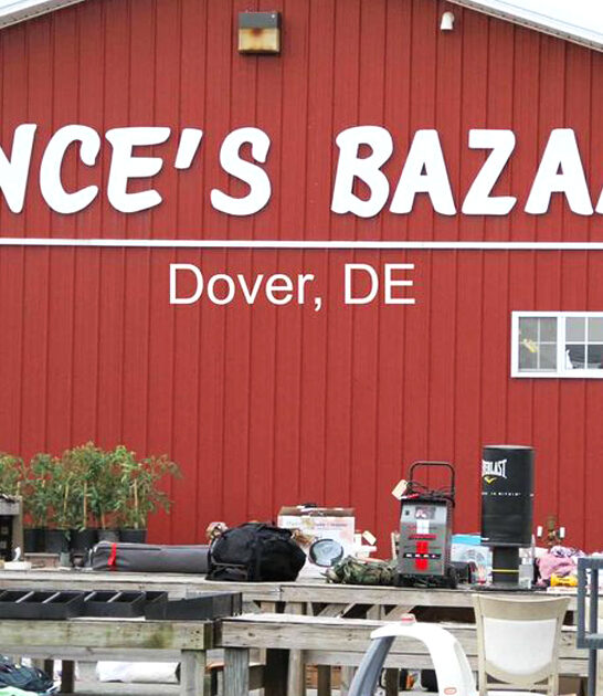treasure hunting market delaware ftr