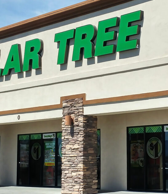 true dollar store nevada ftr