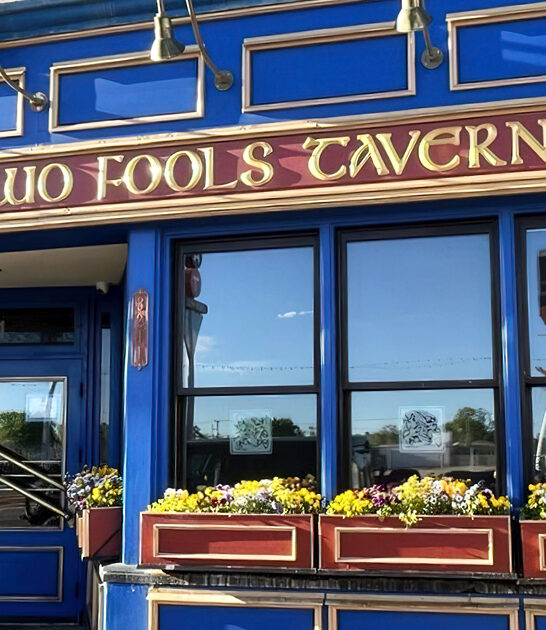 unassuming new mexico chips ftr