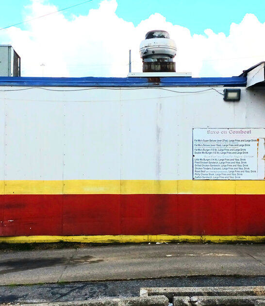 unassuming tennessee french fries ftr