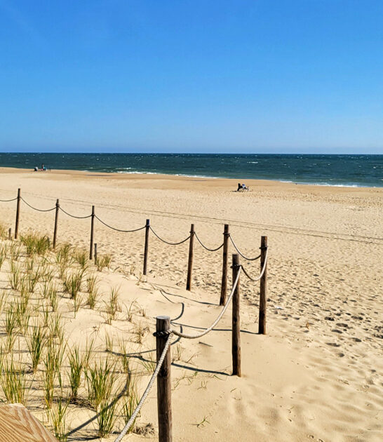 underrated beach delaware real ftr