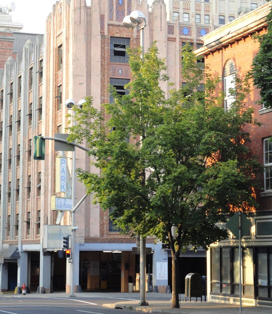 underrated city washington live ftr