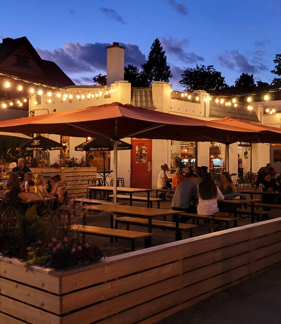 underrated nachos restaurant michigan ftr