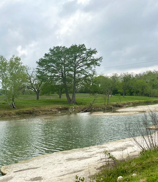 underrated park texas experience ftr