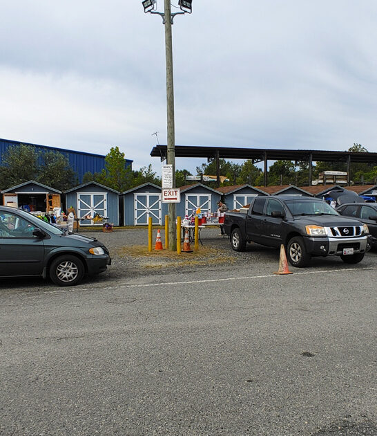 unique finds maryland markets ftr