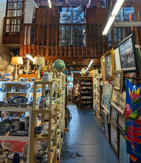 vintage south carolina wonderland ftr