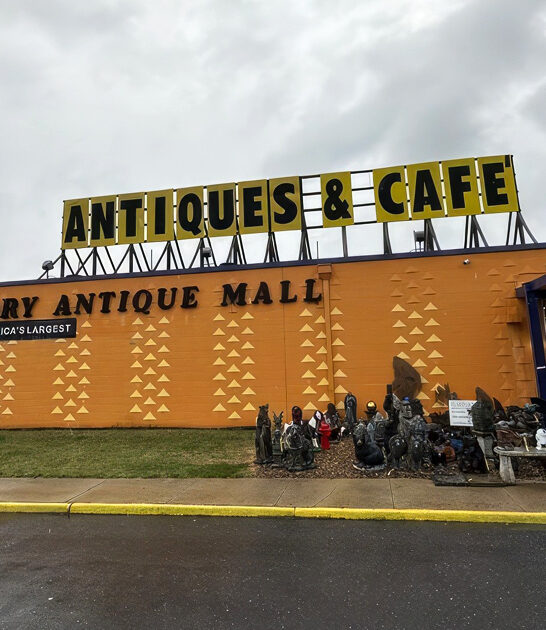 virginia antique wonderland treasure ftr