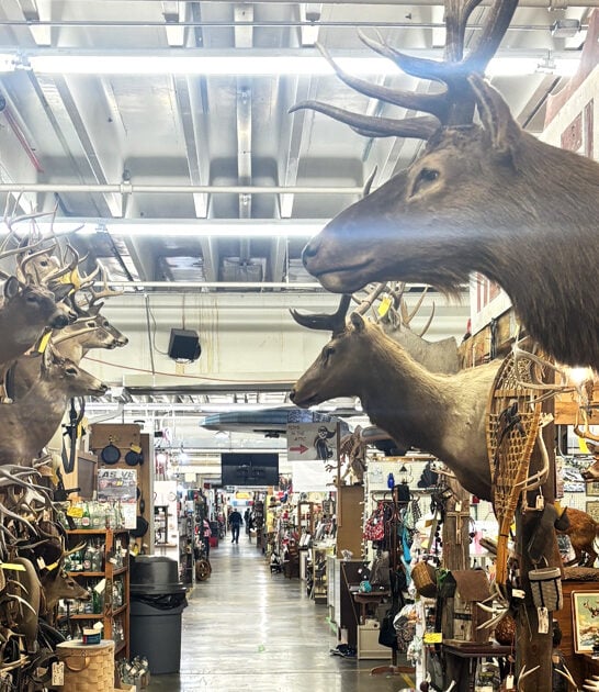 virginia bargain flea market ftr