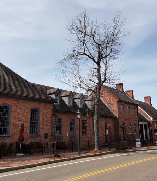 virginia realistic historic town ftr