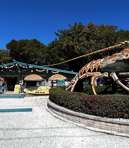 wacky roadside attractions florida ftr