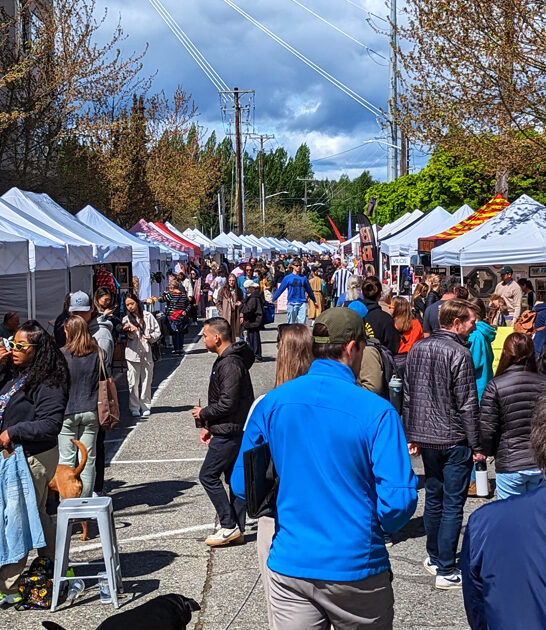 washington bargains swap meet ftr