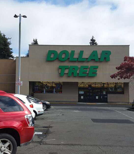 washington dollar store shopping ftr